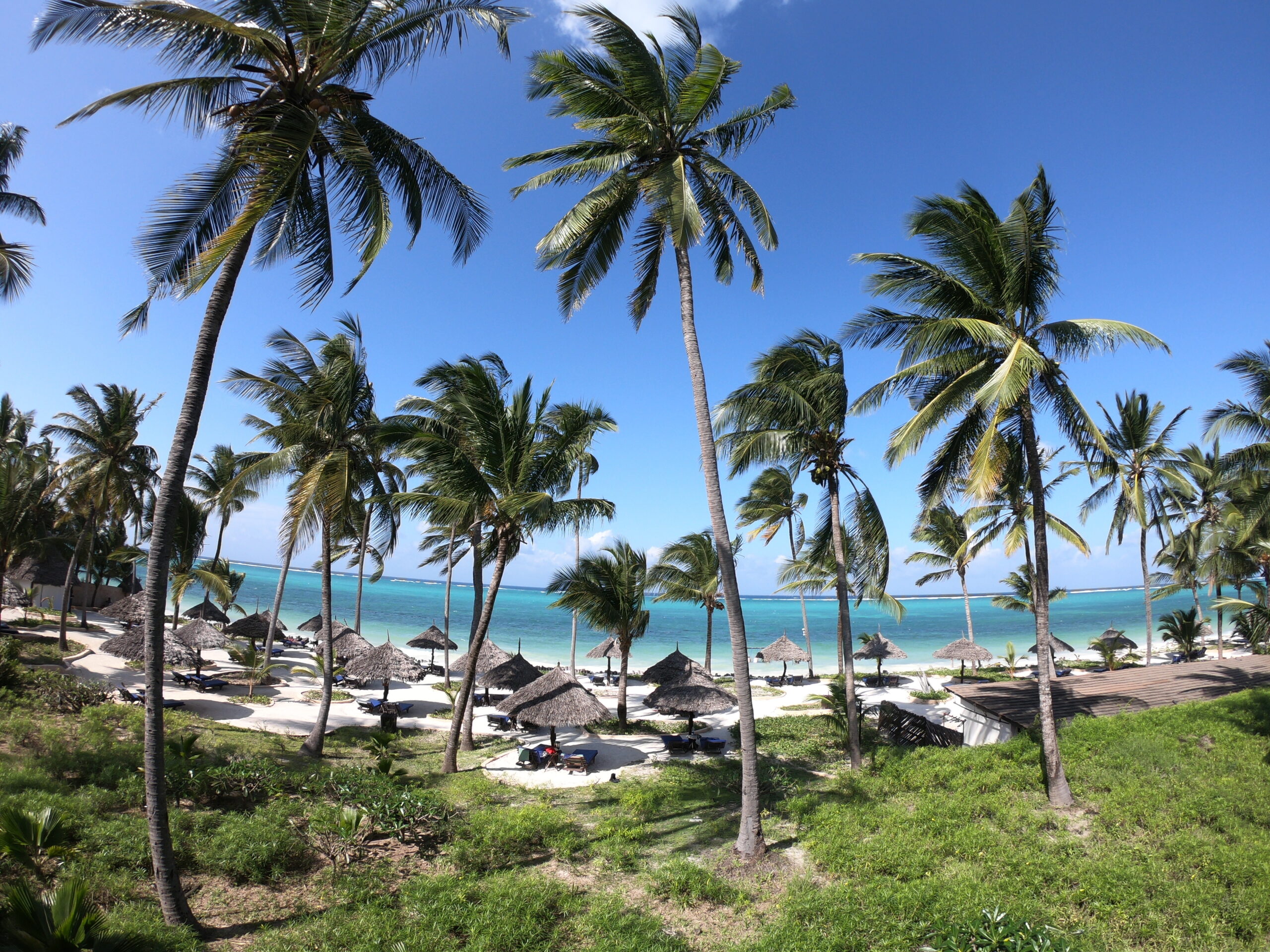 Zanzibar: Stone Town, rum, teška povijest i Freddie Mercury - PLACE2GO